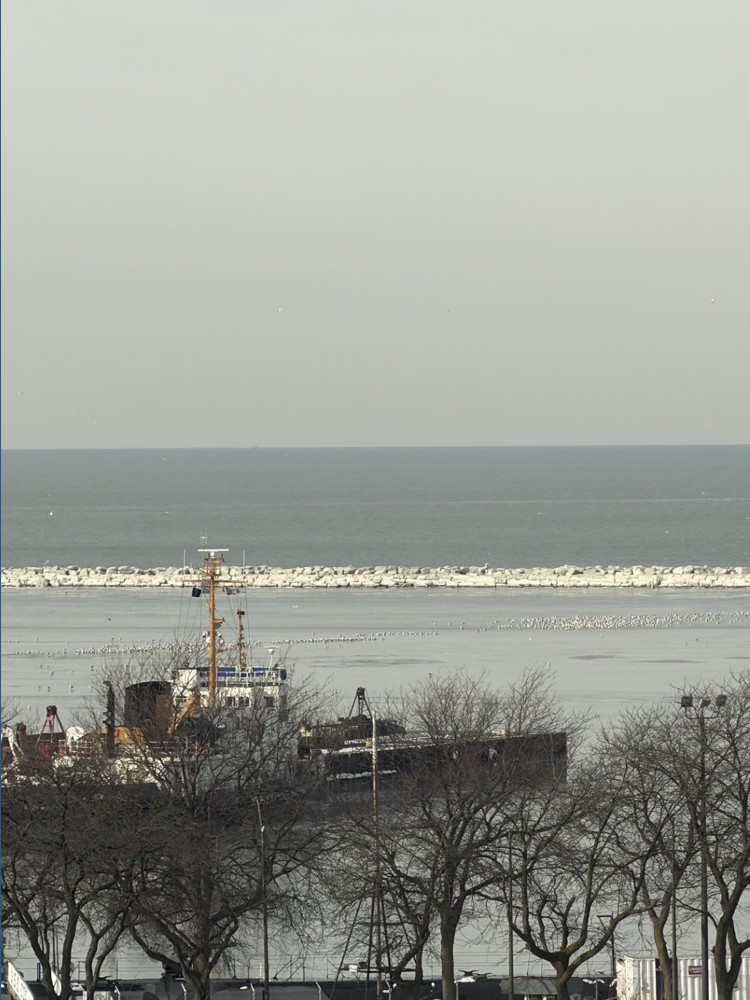 Weather Blog | Lake Erie ice expanding as cold December continues ...
