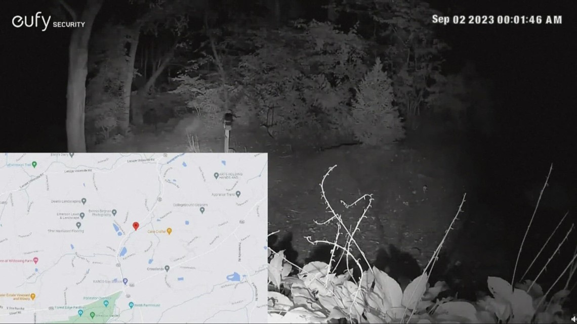 Convicted killer Danelo Cavalcante seen on home security camera near ...