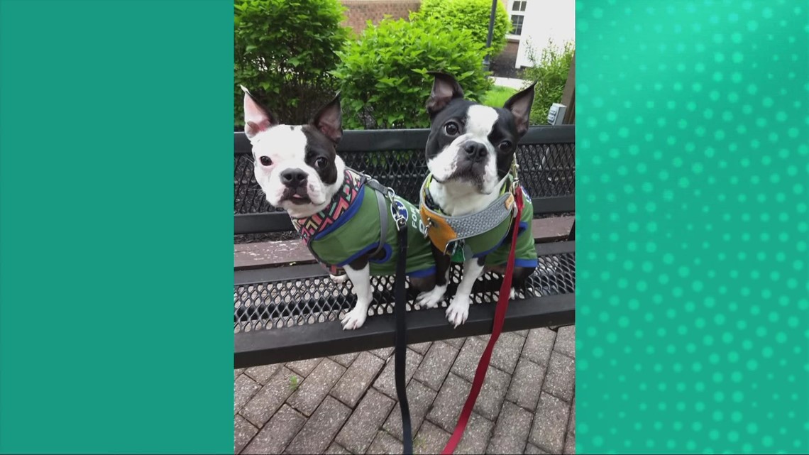 VERIFY: How accurate are WebMD results? | wkyc.com