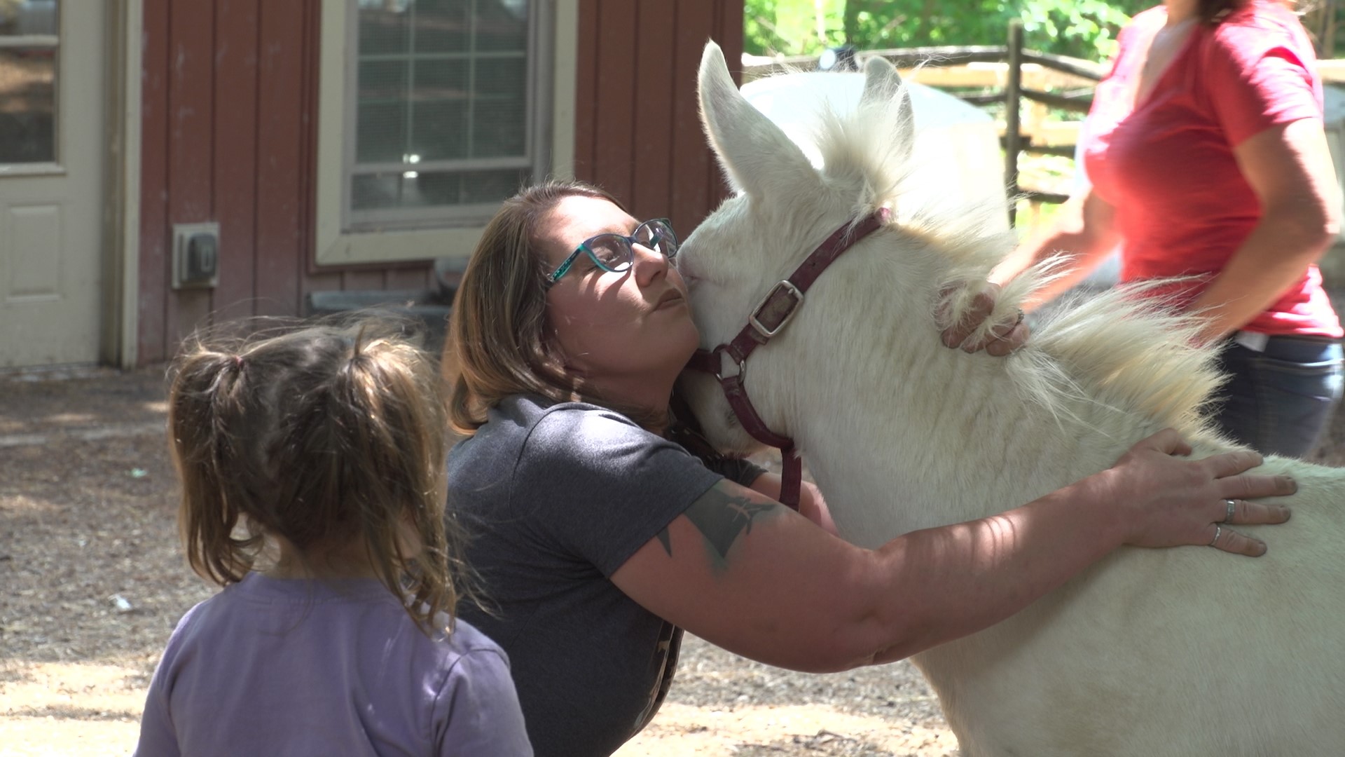 Whispering Acres in Medina: Home for abused or unwanted animals | wkyc.com