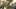 PHOTOS | Renderings of University Circle's plan to transform into ...