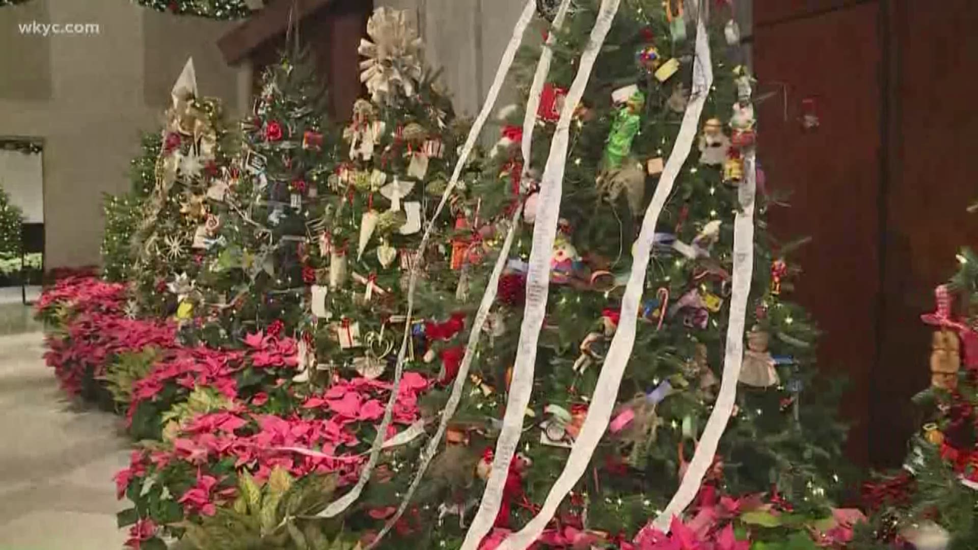 GLOW transforms Cleveland Botanical Garden into winter wonderland ...