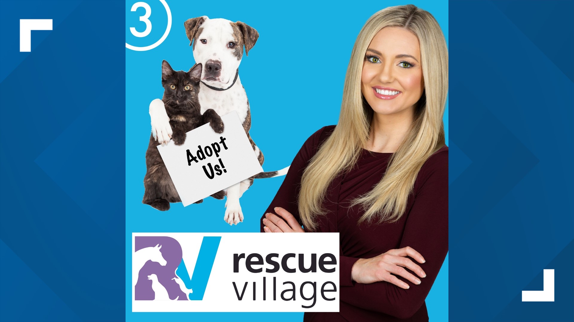 WKYC's Stephanie Haney joins board of trustees at Rescue Village | wkyc.com