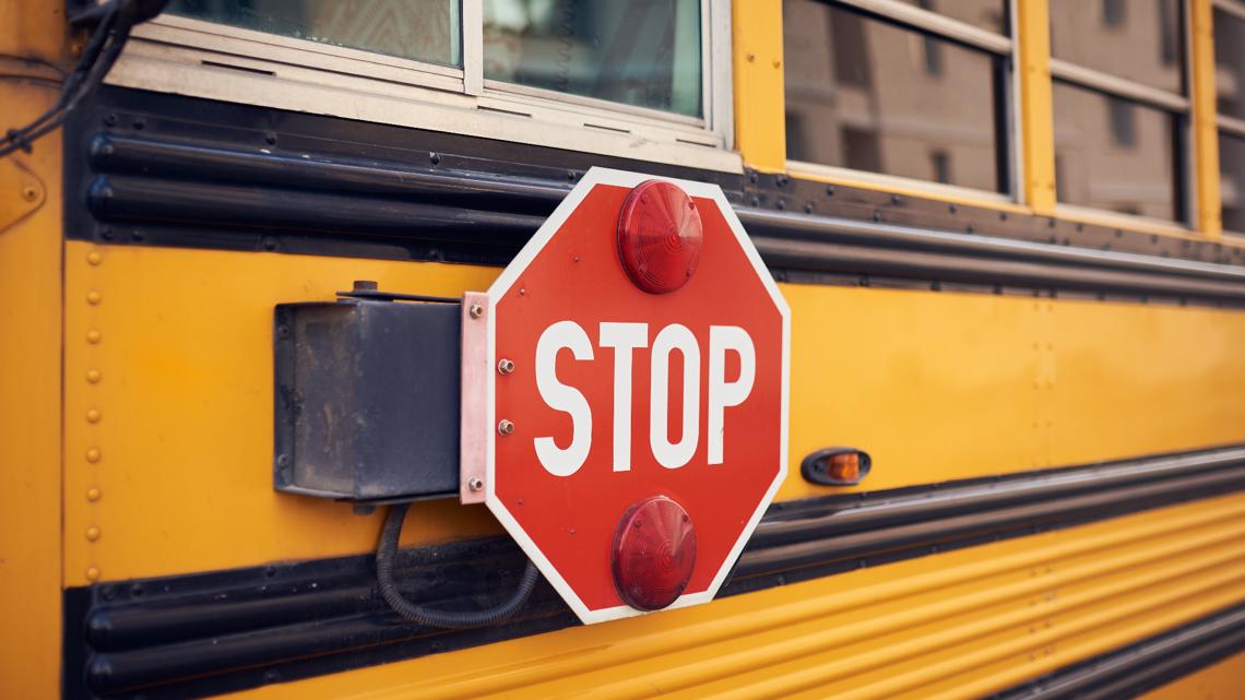 Ohio May 6 primary election: What's on my ballot? Issue 2, school levies | wkyc.com