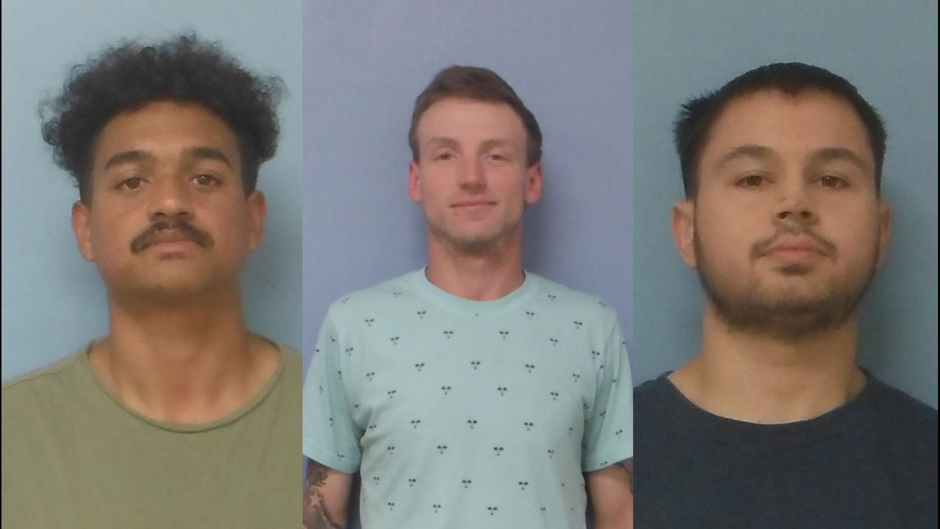 Arrest made in connection to Parma's stolen flamingo statue | wkyc.com