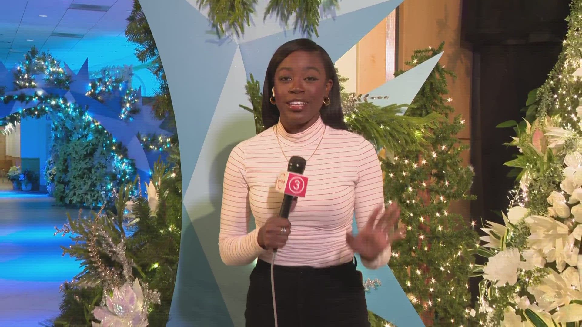 Cleveland Botanical Garden's 'FROST: An Ice-Capped Garden Experience ...