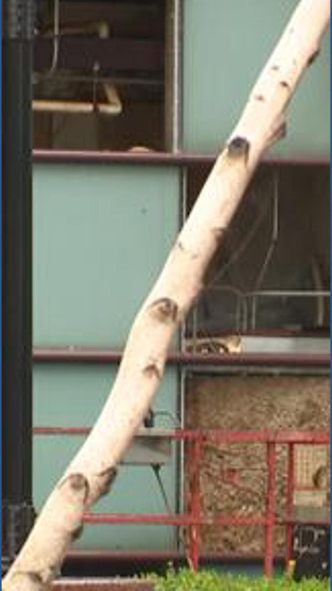 Severe storms slam greater Cleveland: Tracking the aftermath, damage ...