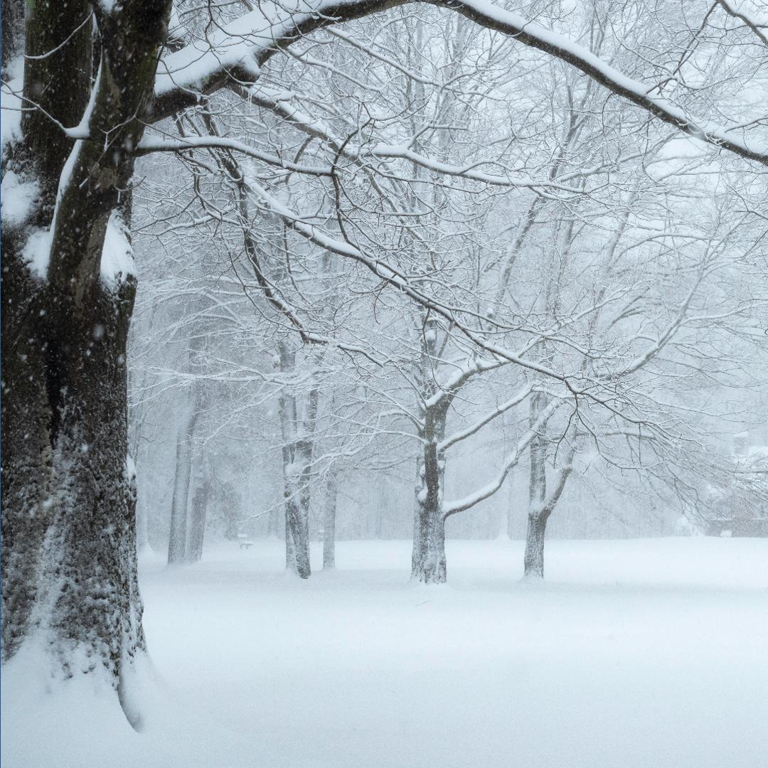 Bloodline and Blind Faith: Reflecting on the Kirtland cult killings ...