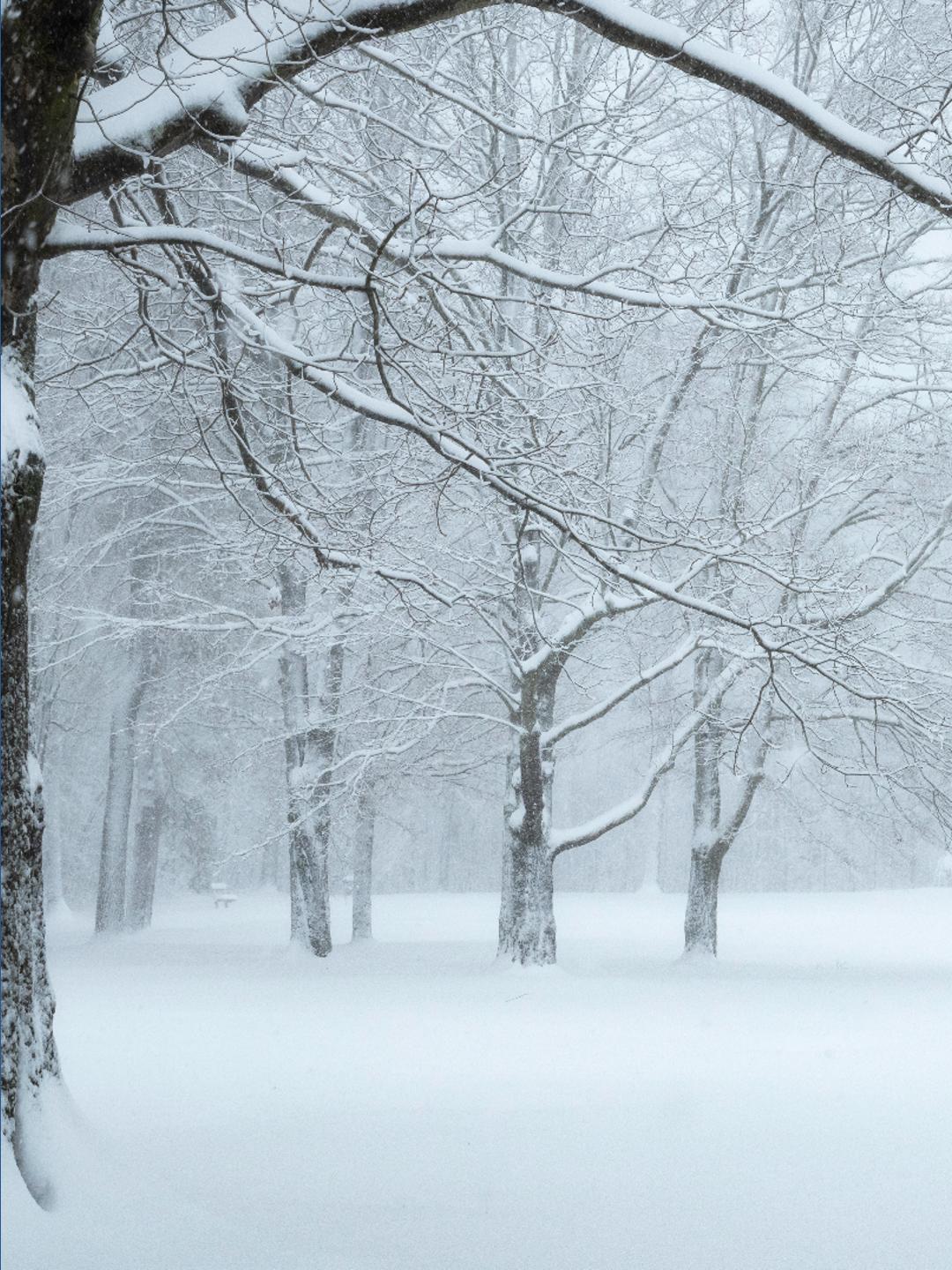 Bloodline and Blind Faith: Reflecting on the Kirtland cult killings ...