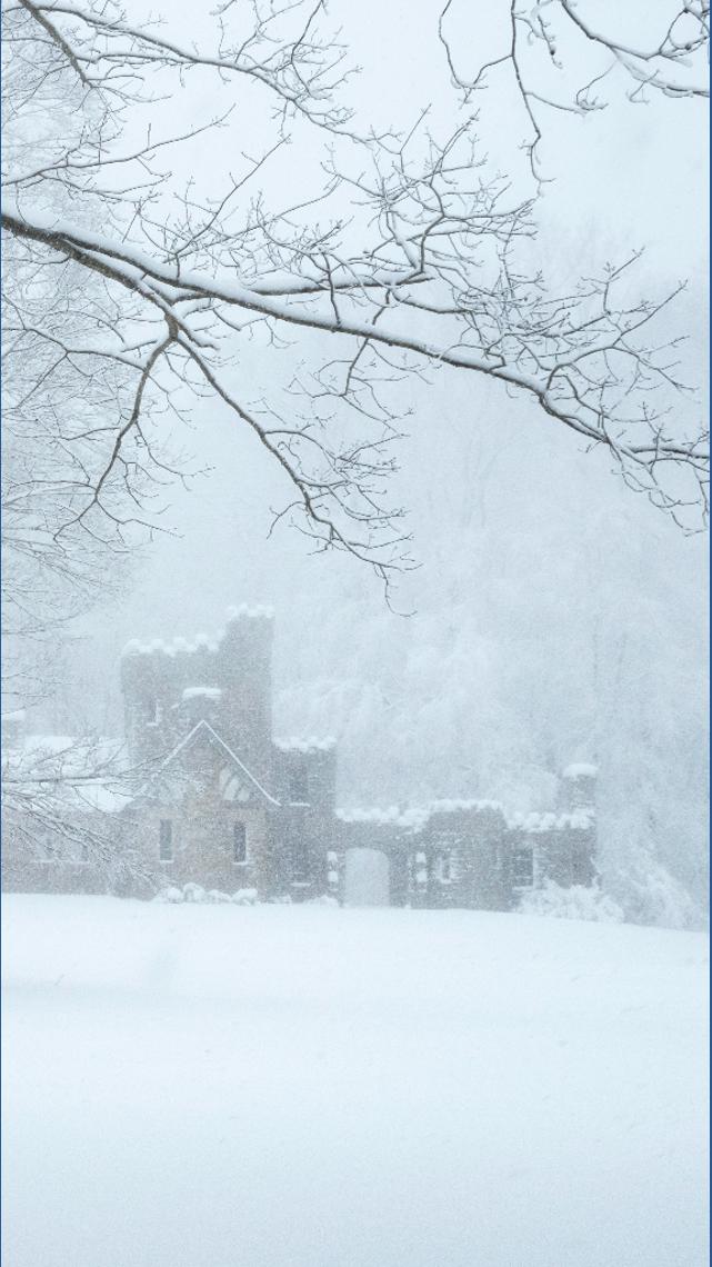 Bloodline and Blind Faith: Reflecting on the Kirtland cult killings ...