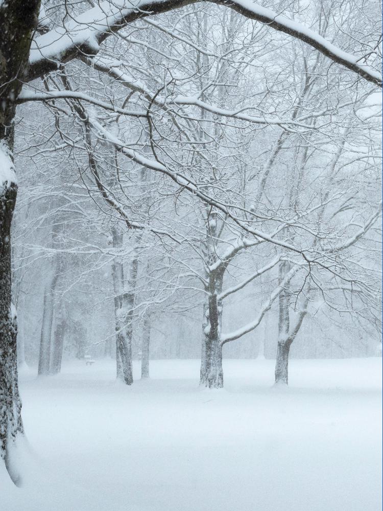 Bloodline and Blind Faith: Reflecting on the Kirtland cult killings ...