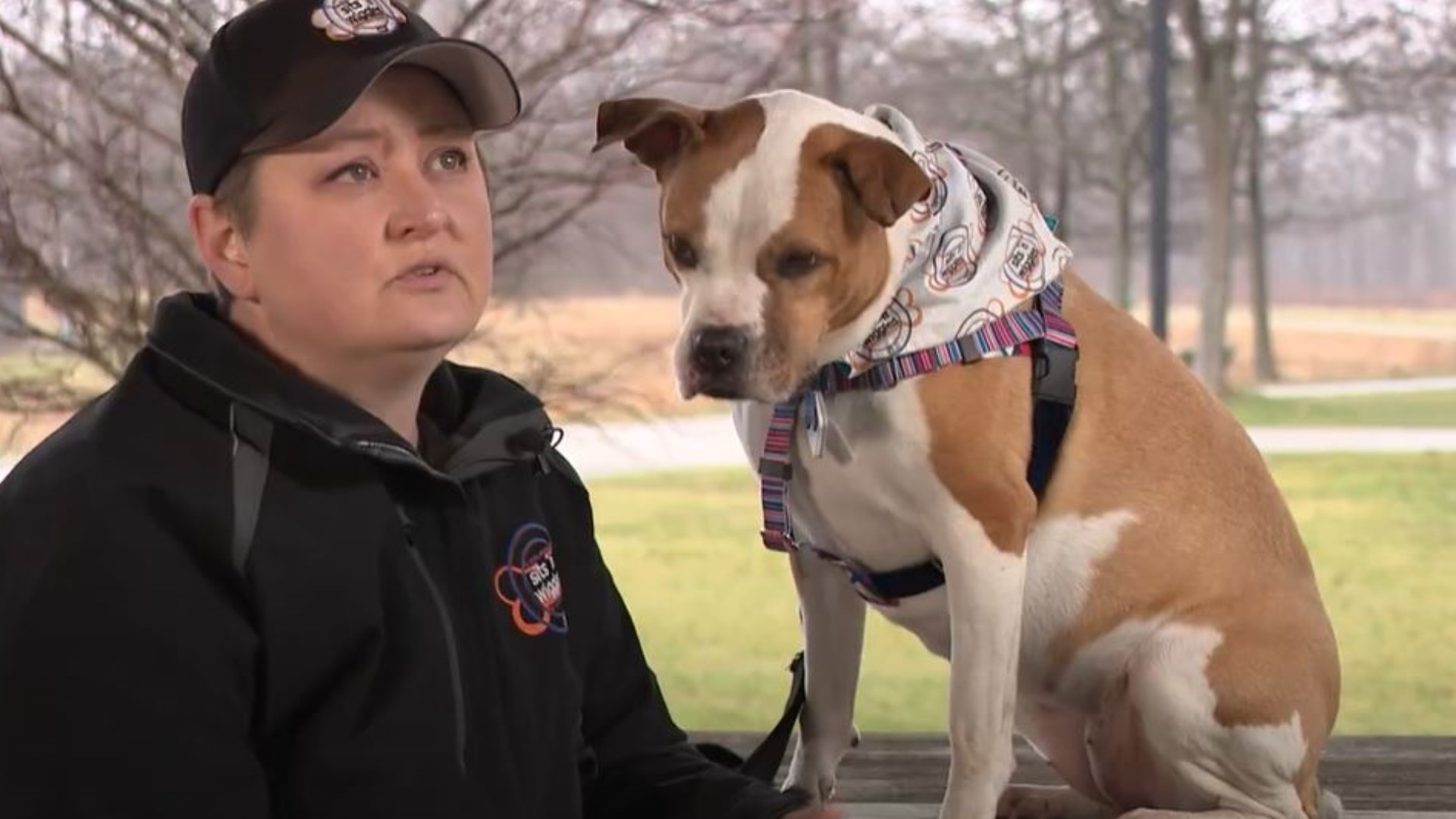 Why a sniffari decompression walk is important for your dogs | wkyc.com