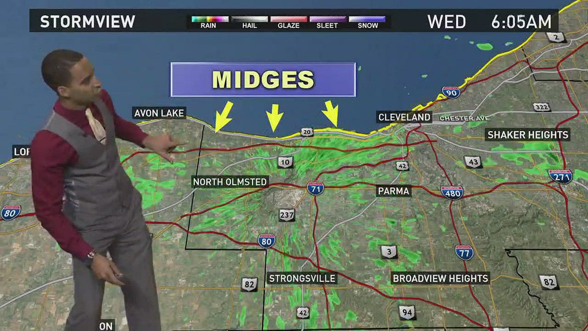 Swarm of midges so thick it appeared on Cleveland radar | wkyc.com