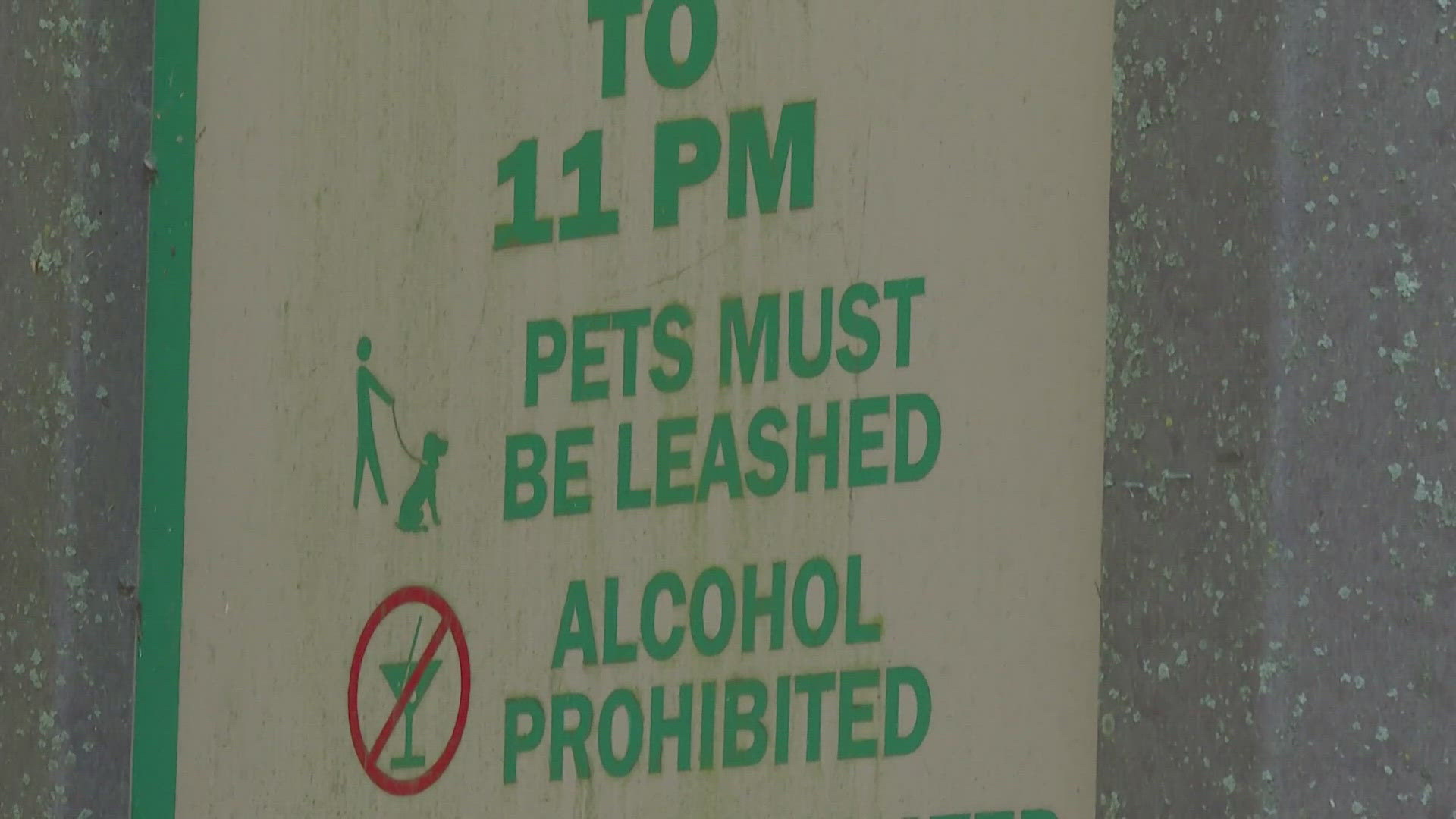 3 dogs euthanized following Mentor dog attack that injured mother ...