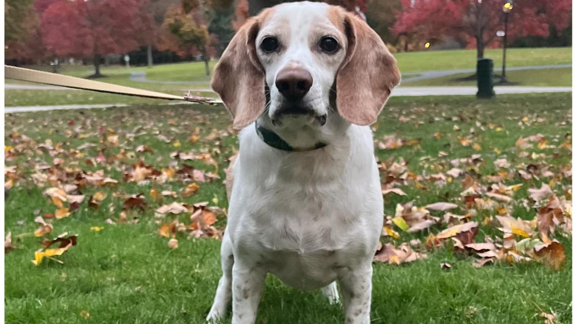 Anthony Copeland, 3News Meteorologist | wkyc.com
