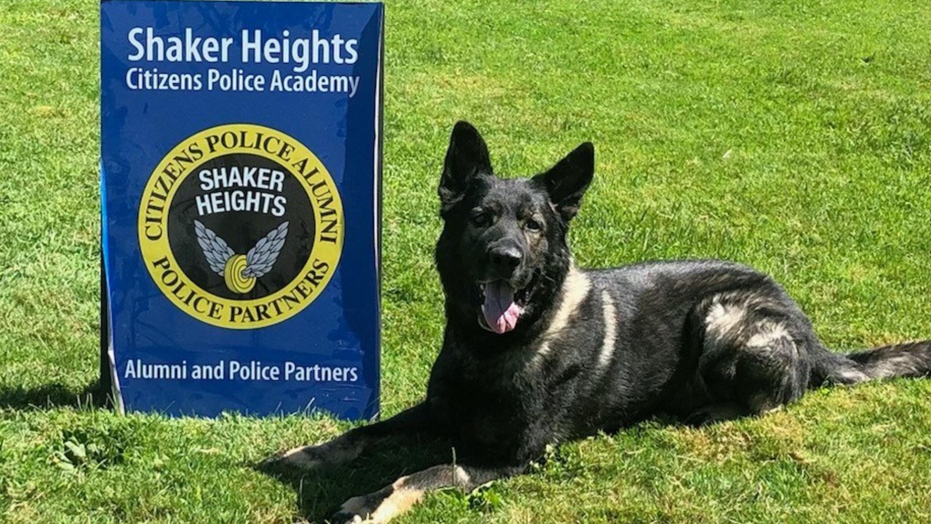 Shaker Heights police mourn death of K-9 Roman | wkyc.com