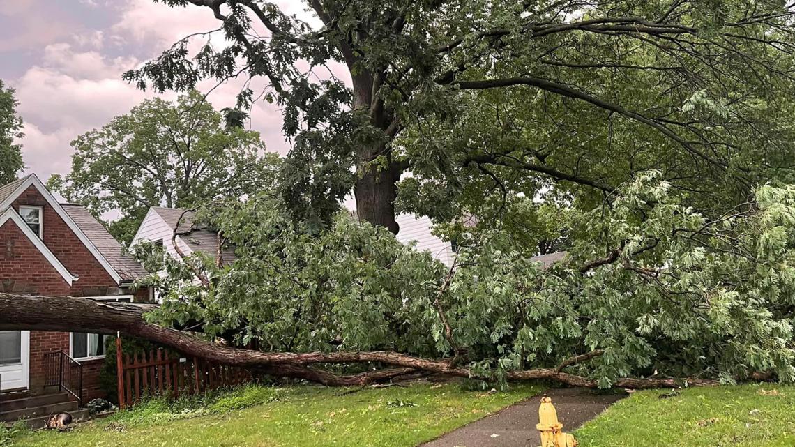 NE Ohio cleaning up on the day after severe storms strike area | wkyc.com