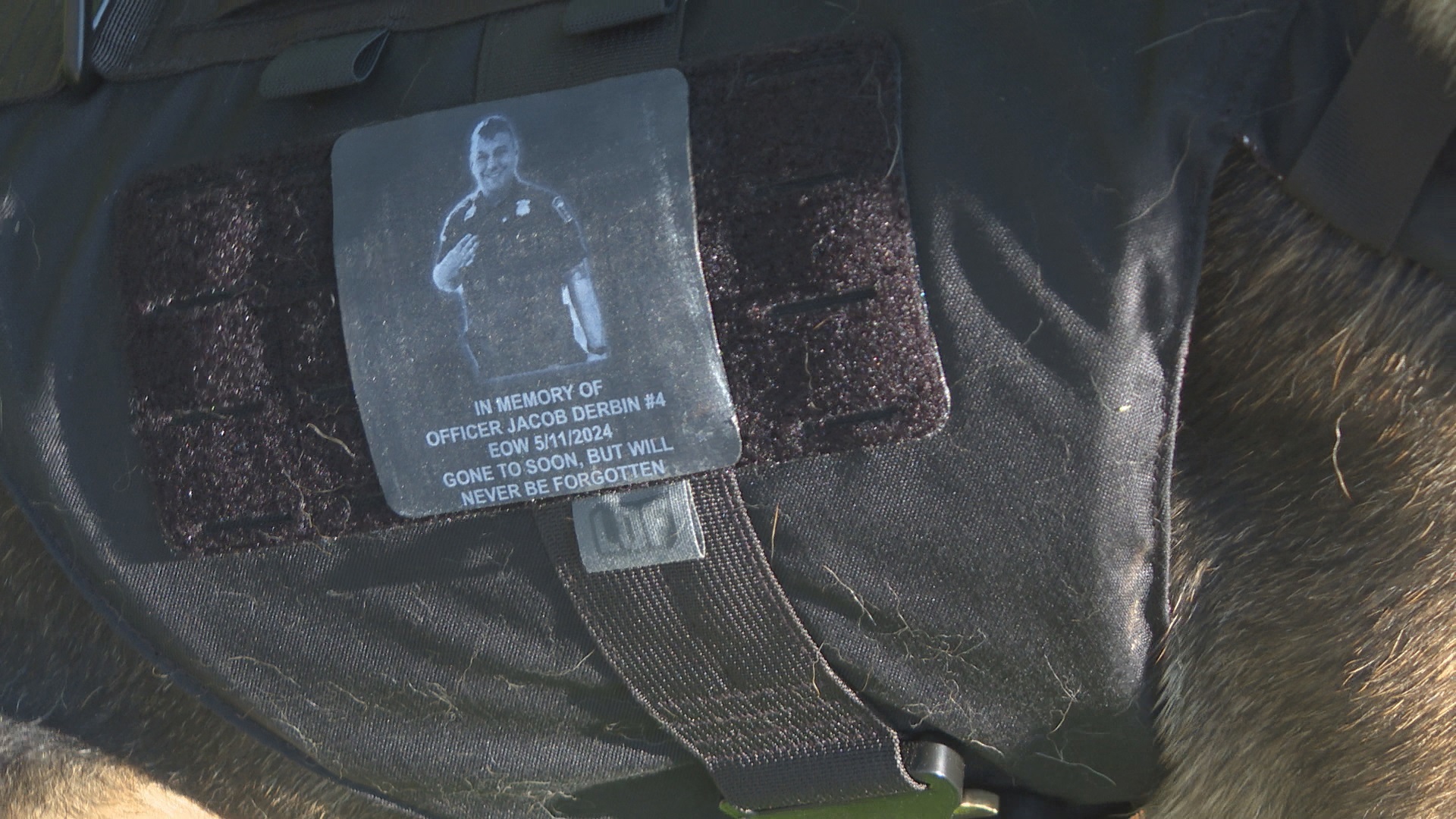 New K-9 units honor legacy of fallen Euclid police officer Jacob Derbin ...