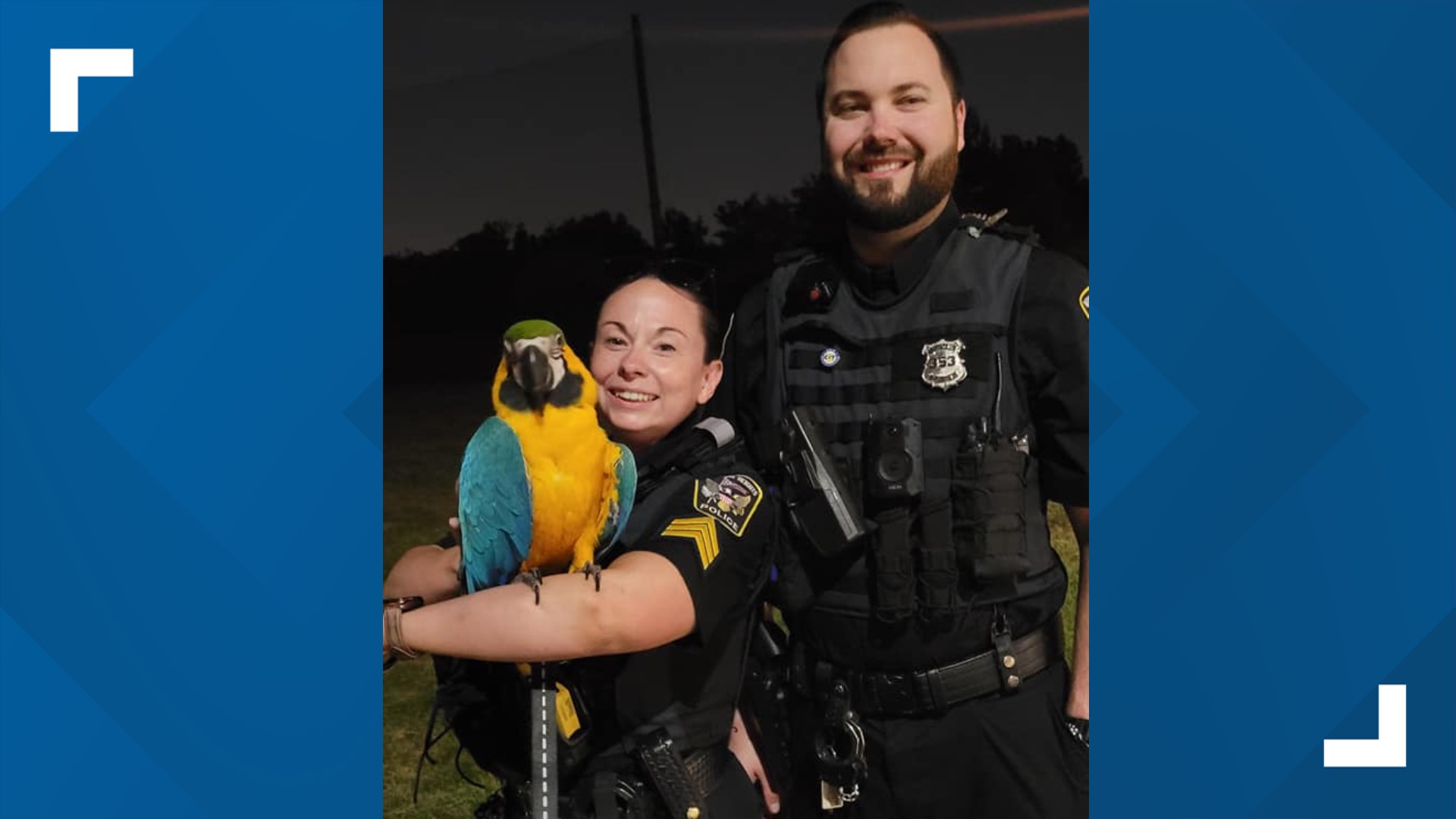 Newburgh Heights police help rescue macaw that got loose | wkyc.com