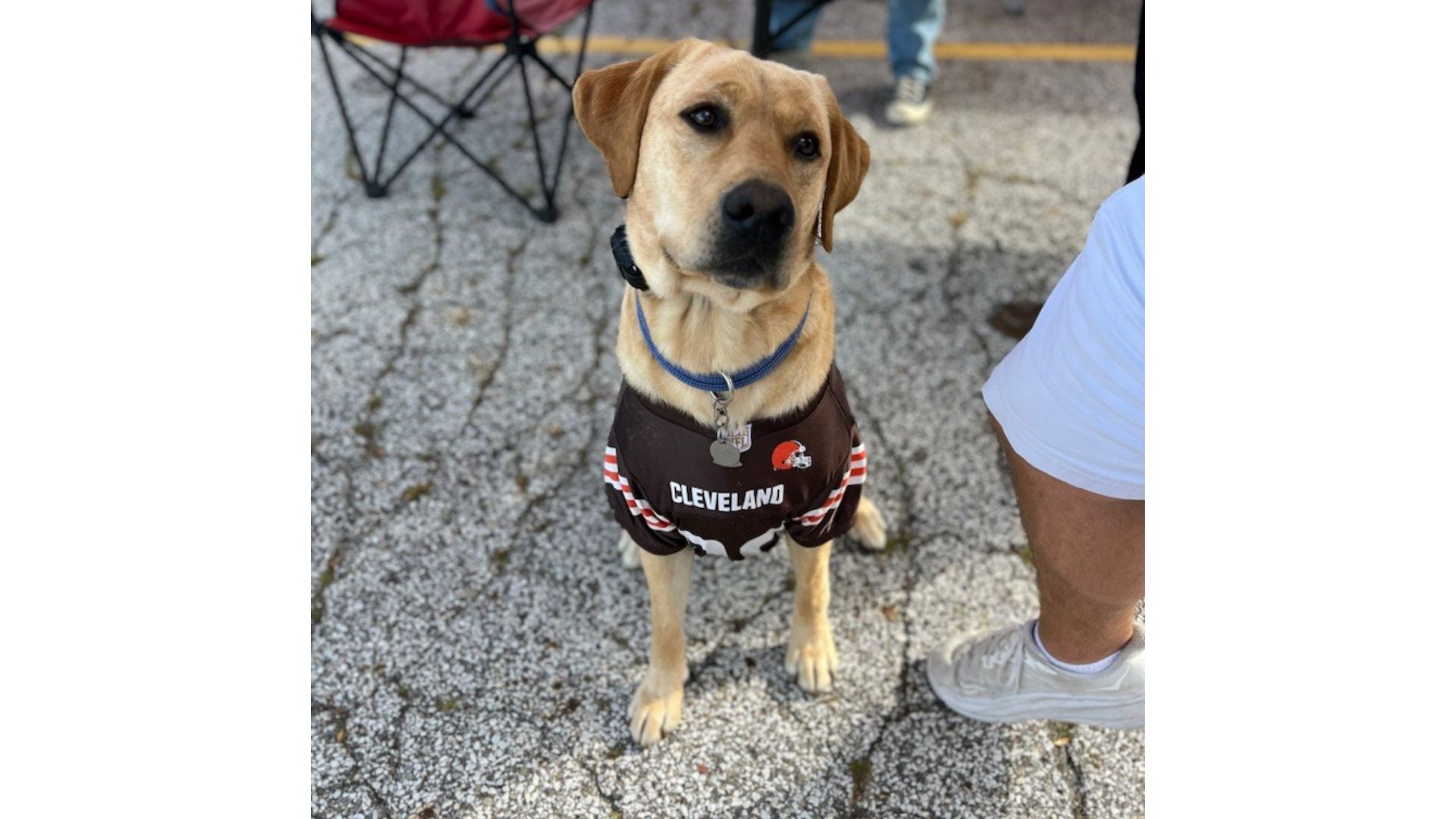 Cleveland Browns fans gather in Muni Lot to tailgate for opener | wkyc.com