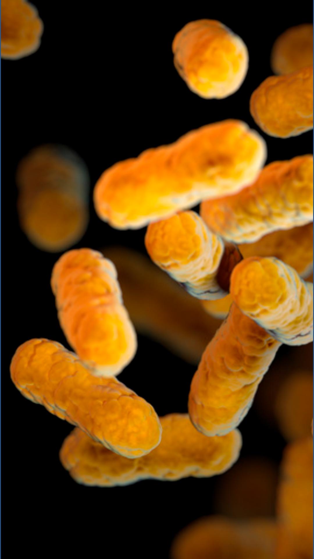 Lorain County health officials monitoring whooping cough outbreak ...