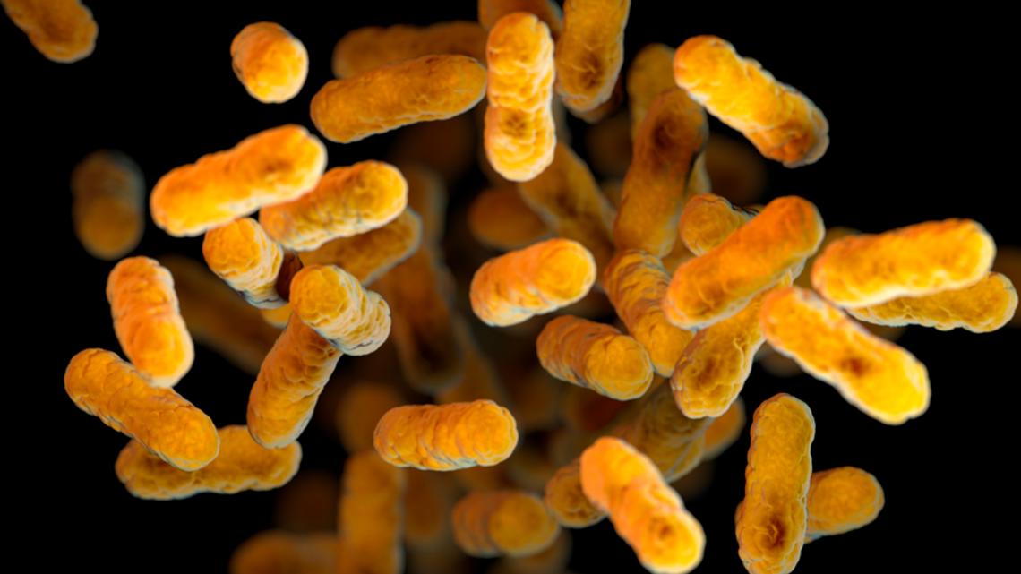 Lorain County health officials monitoring whooping cough outbreak ...