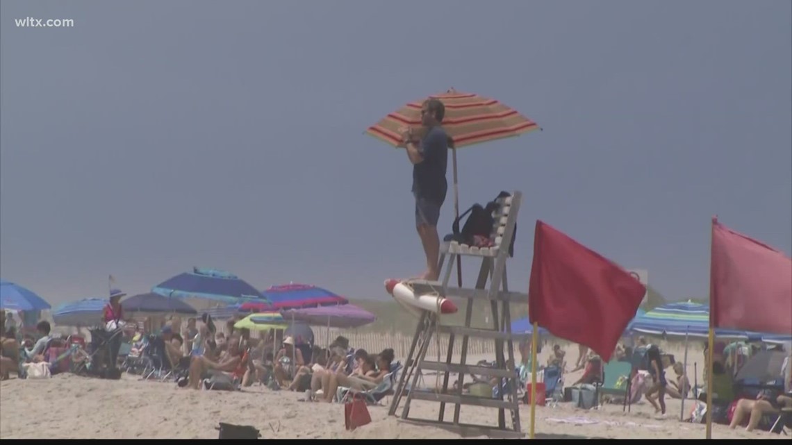 Shark spotted in Florida beach as people rush out of water | wkyc.com