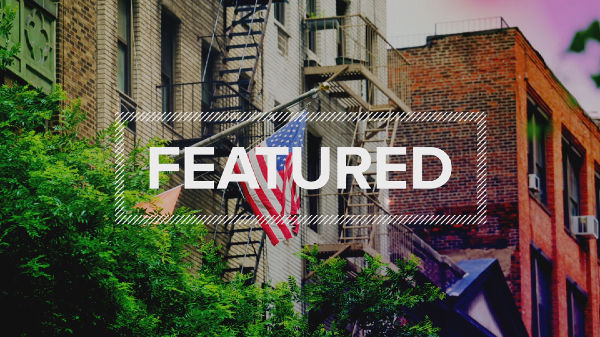 FEATURED - WWII Bottle Message, 30-Year Bat Quest, Charming Museum Cat ...