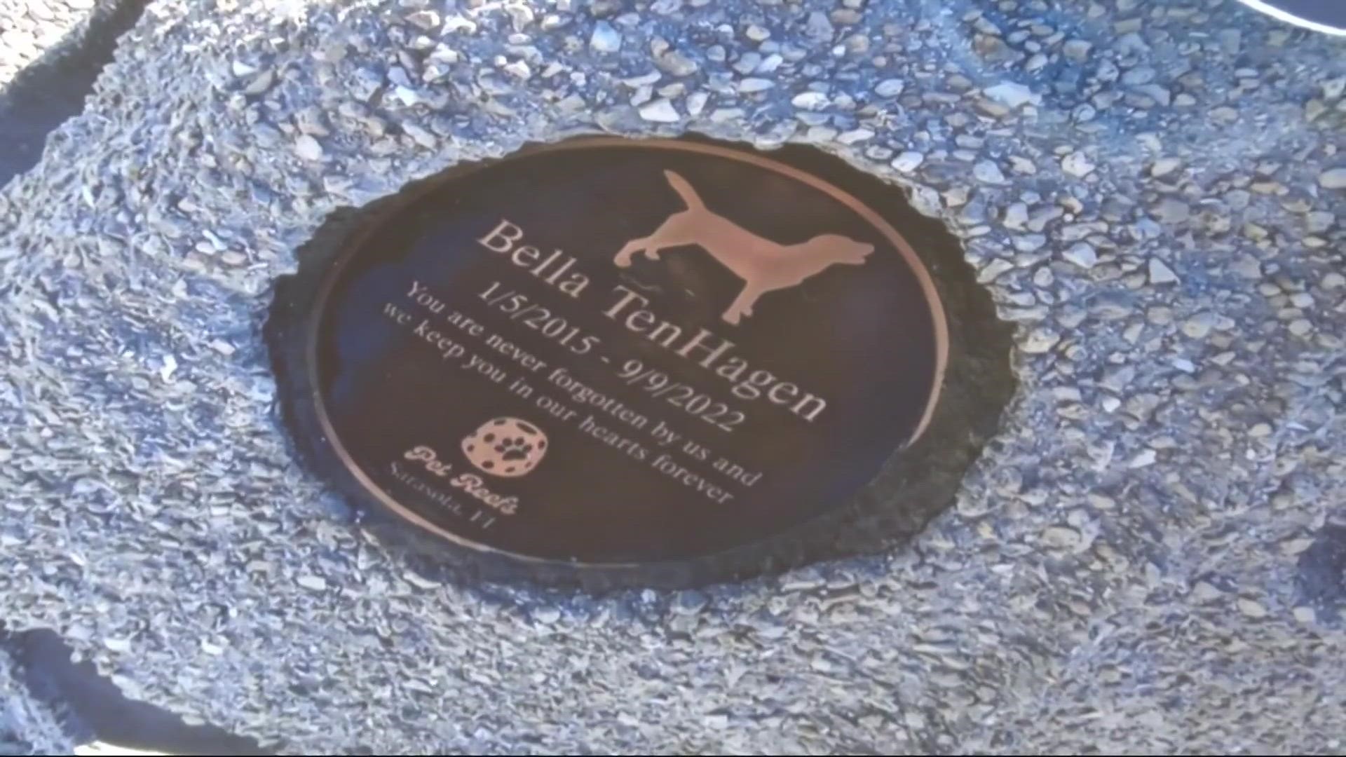 Pet ashes used to re-grow ocean reefs in Florida | wkyc.com