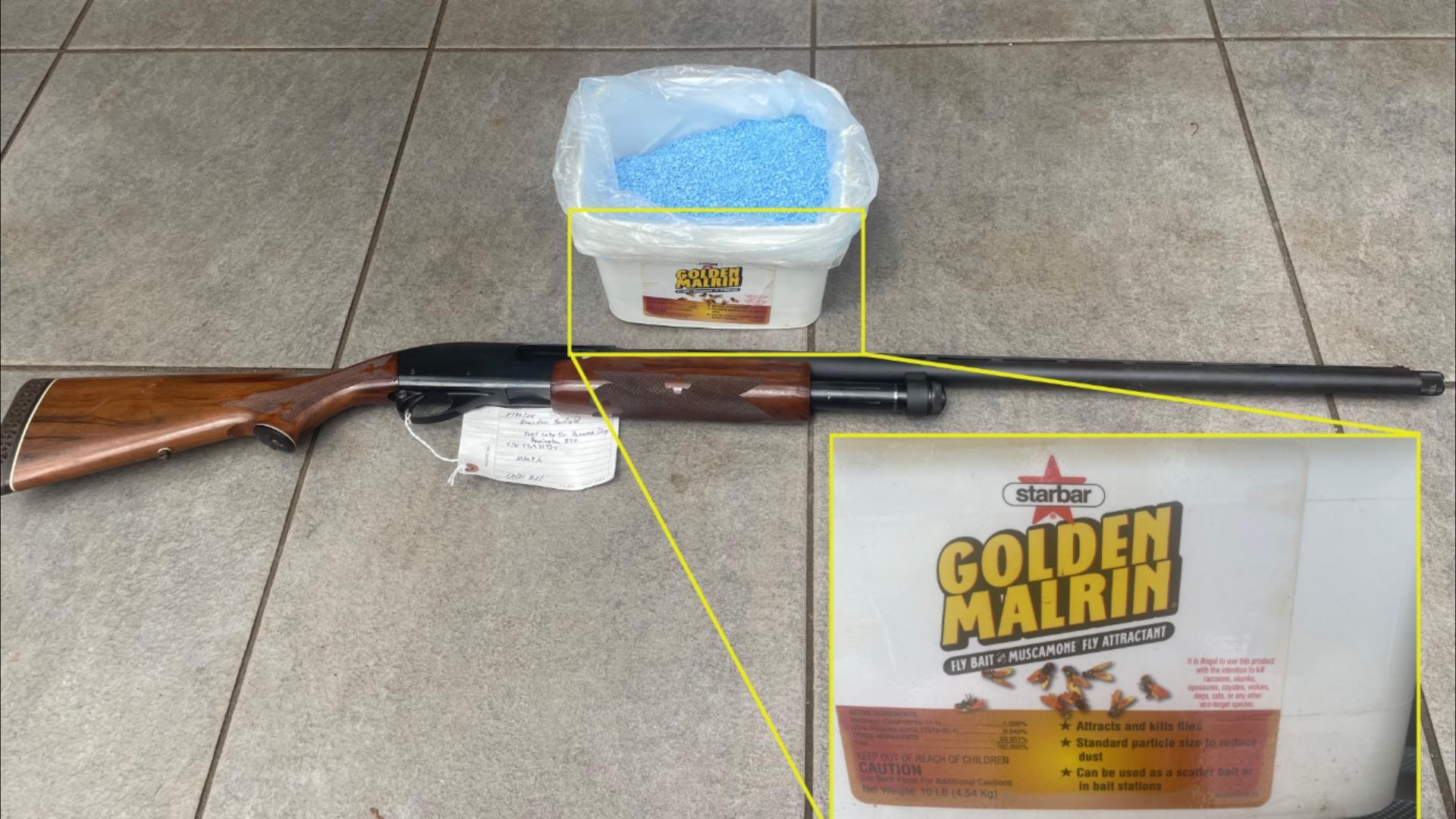 Florida fisherman convicted of shooting, poisoning dolphins sentenced ...