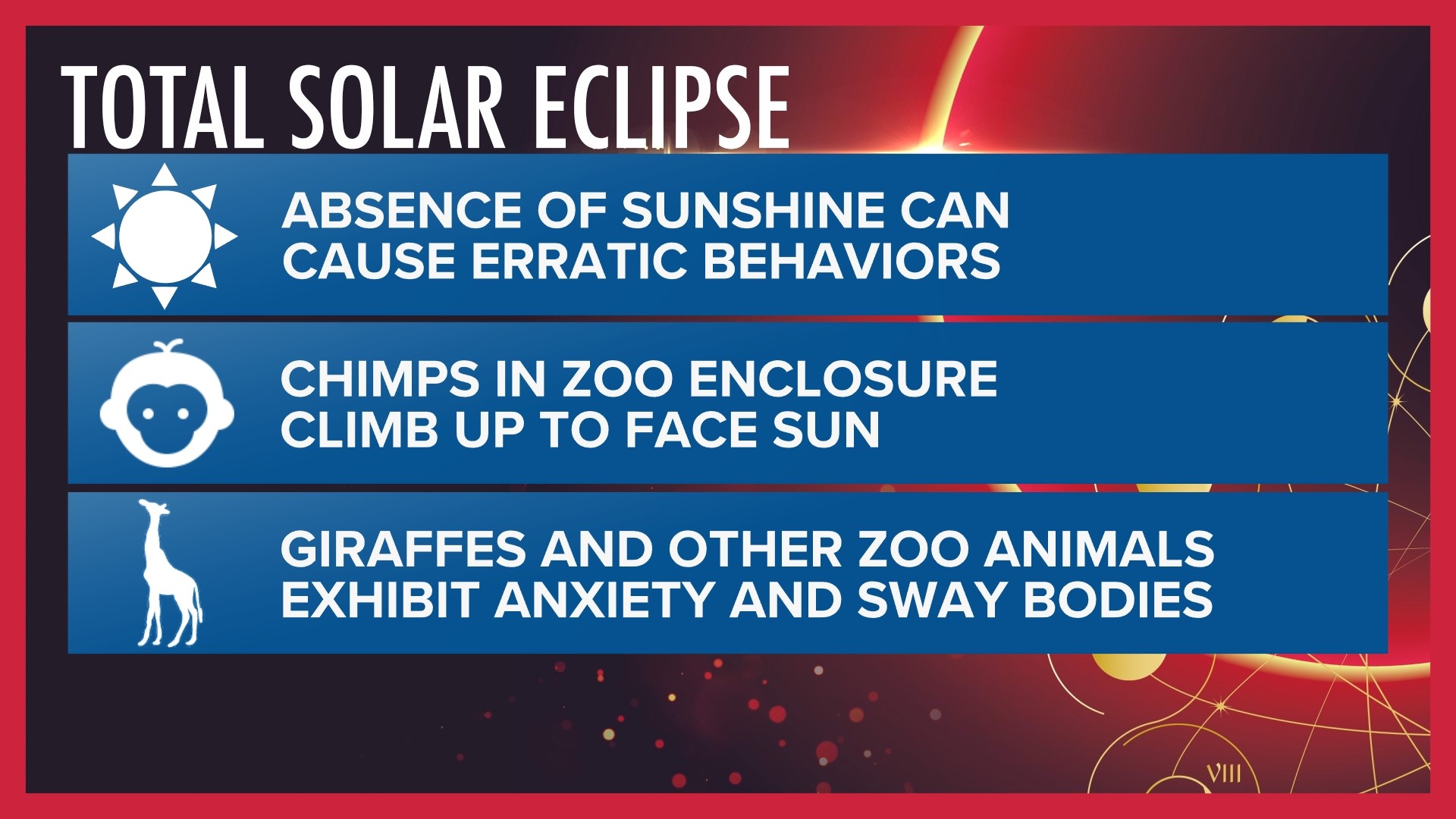 How the April 8 total solar eclipse could affect animals | wkyc.com