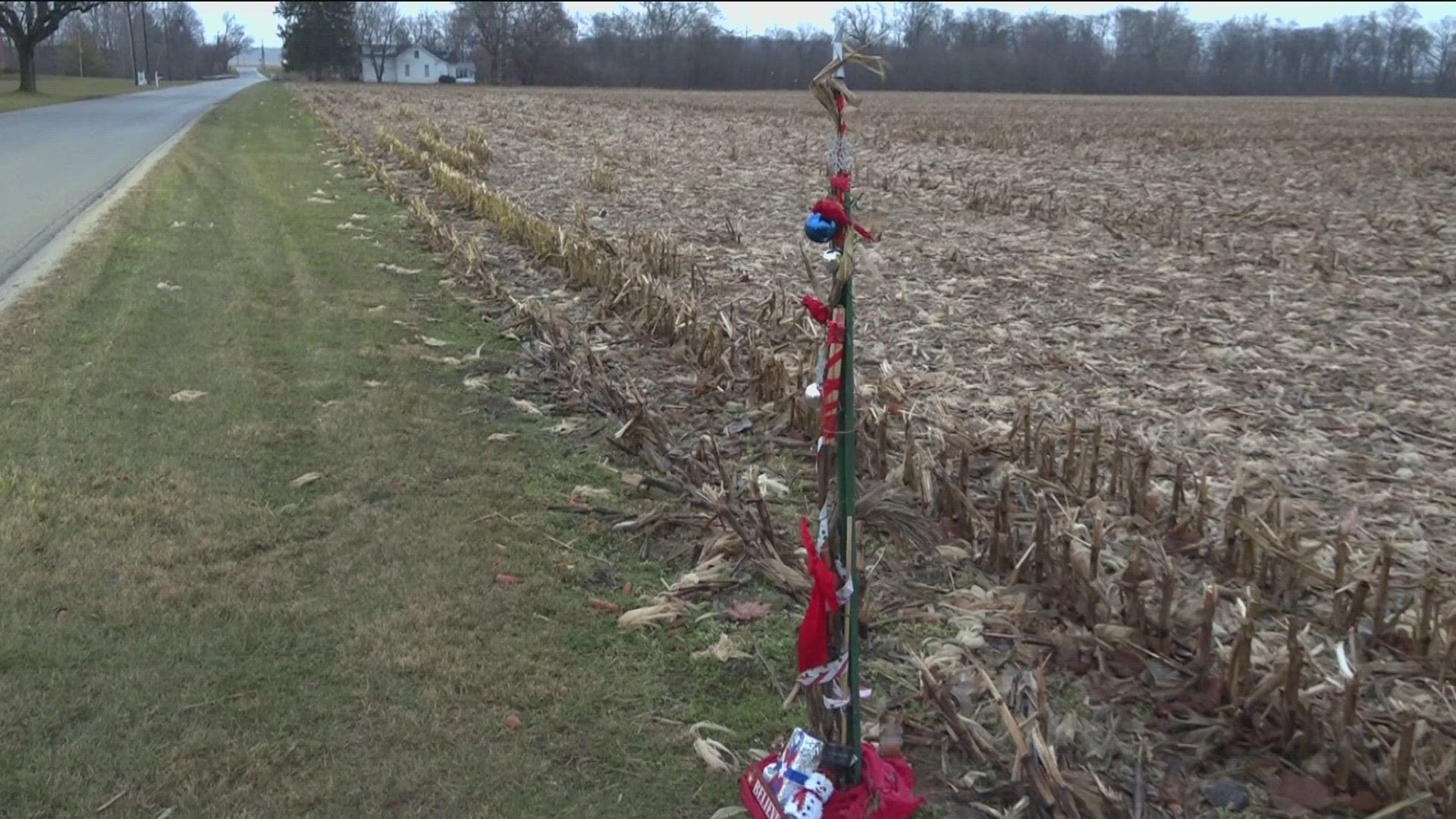 Corn stalk all decked out for Christmas in Wood County village | wkyc.com