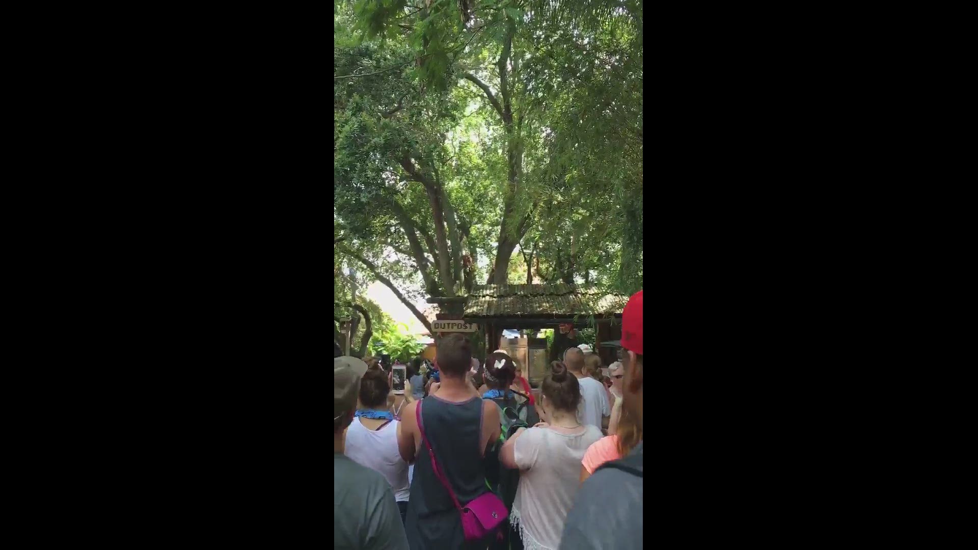 Busch Gardens orangutan recaptured | wkyc.com