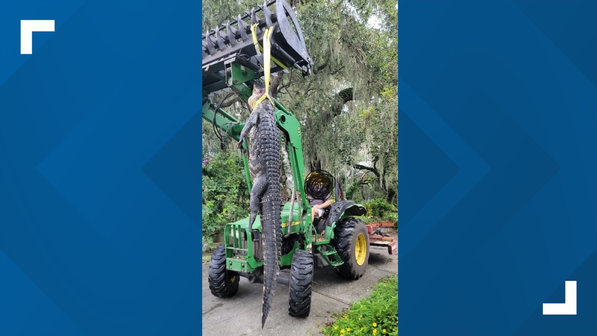 Florida man recounts alligator attack and his recovery journey | wkyc.com