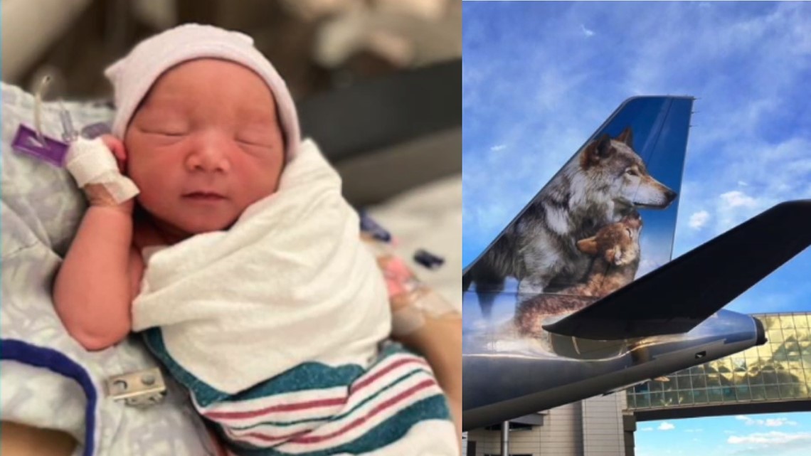 Frontier flight attendant helps deliver baby on Orlando flight | wkyc.com