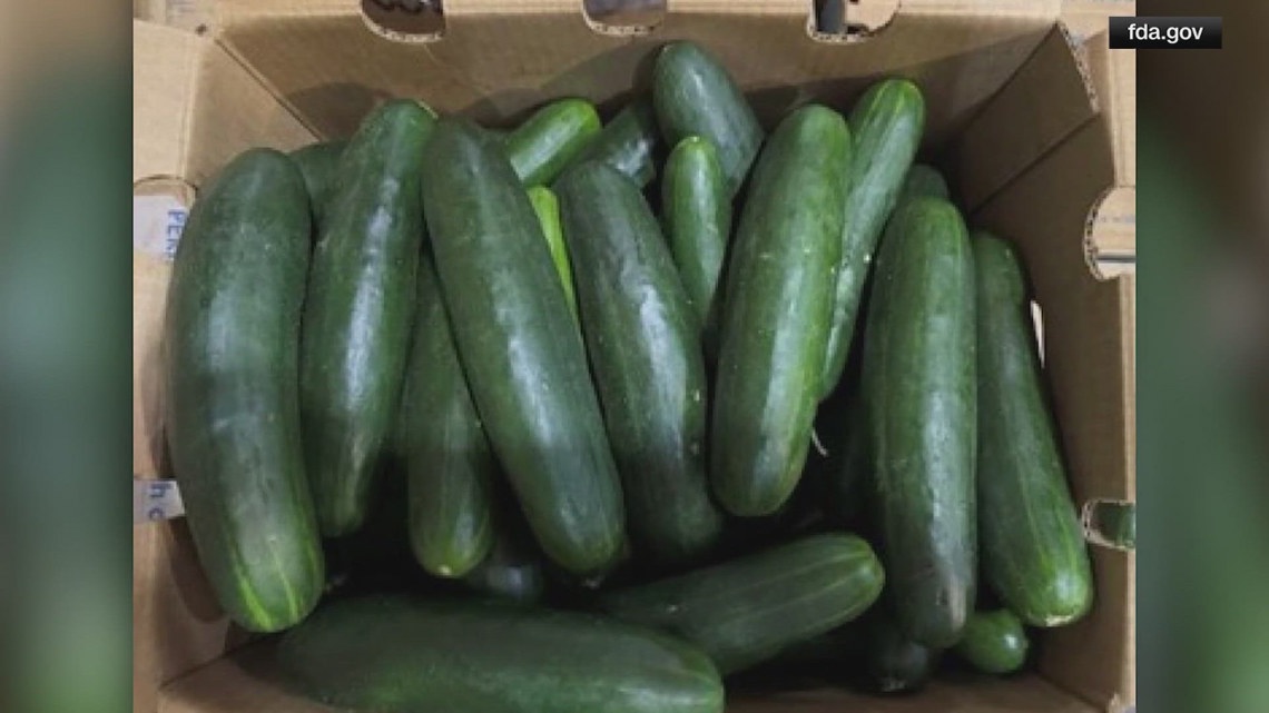 FDA investigating cucumber recall amid Salmonella outbreaks in US ...