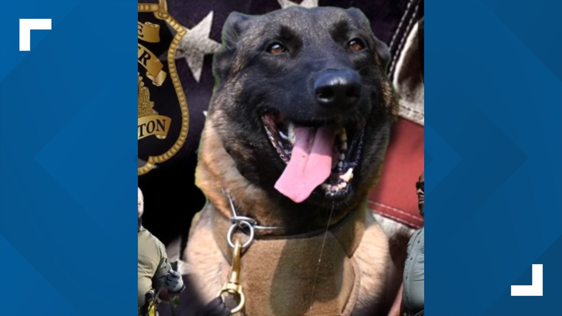 K9 Max South Fulton Police dies after being shot | wkyc.com