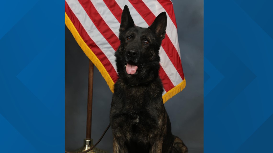 Coweta County retired K-9 Rocky dies | wkyc.com