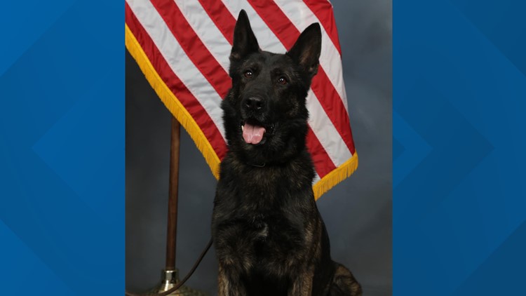 Coweta County retired K-9 Rocky dies | wkyc.com