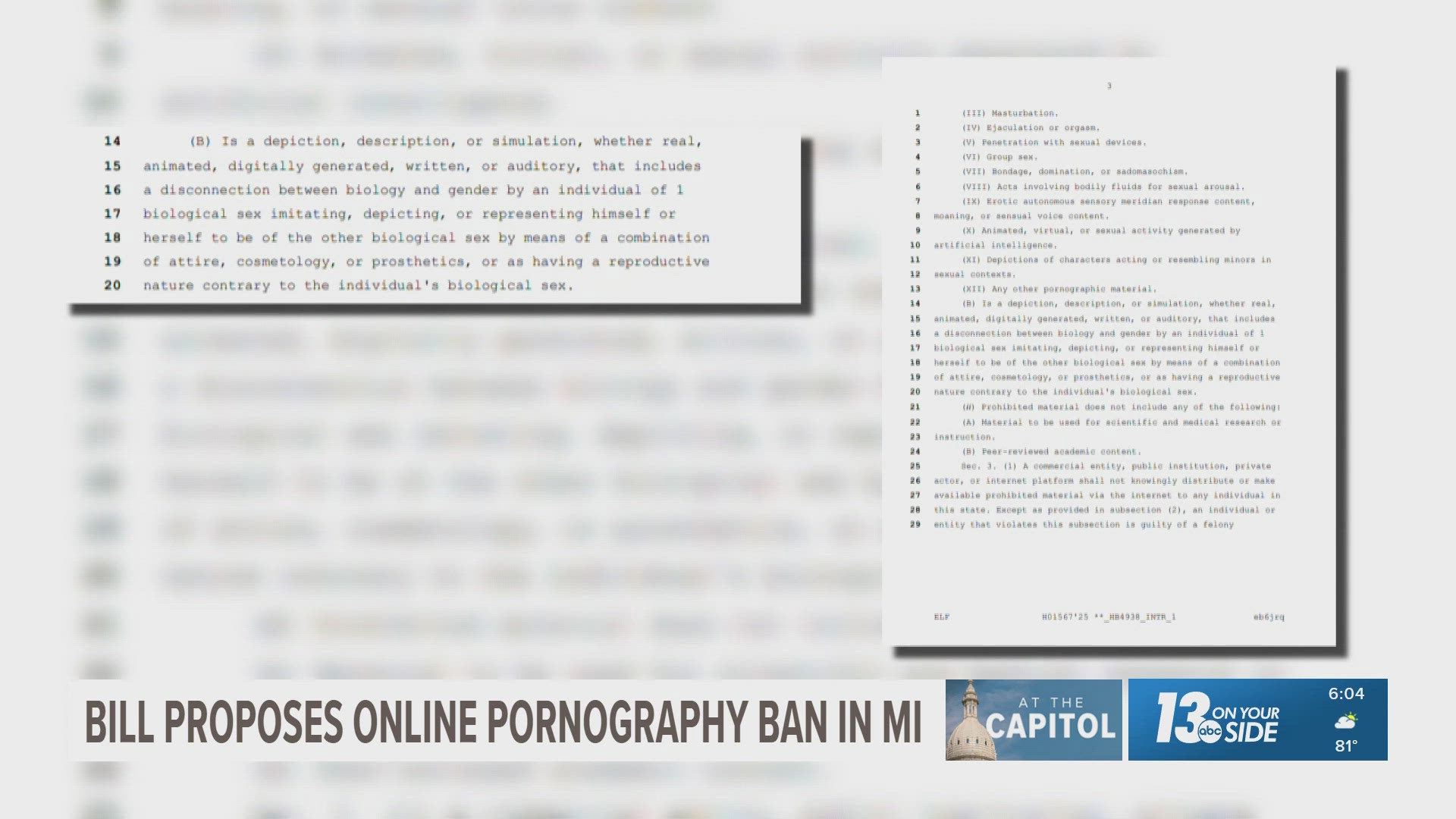 Conservative Michigan lawmakers propose strict ban on adult online porn ...